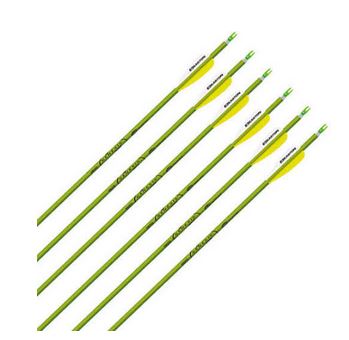 EASTON ARROWS GENESIS GOLD ARROWS 6PK - Canadian Archery Supply