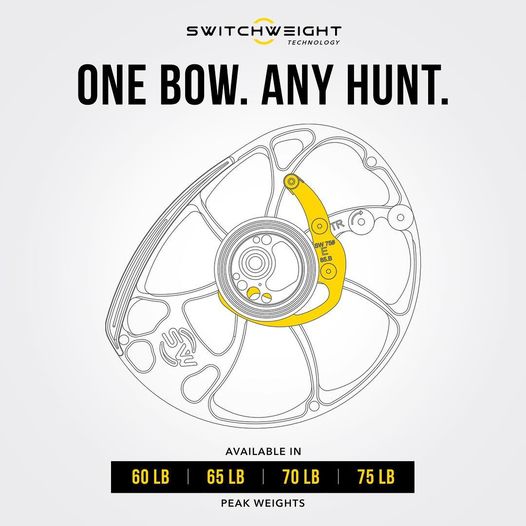 MATHEWS SWITCH WEIGHT MODULES V3/ATLAS MODELS